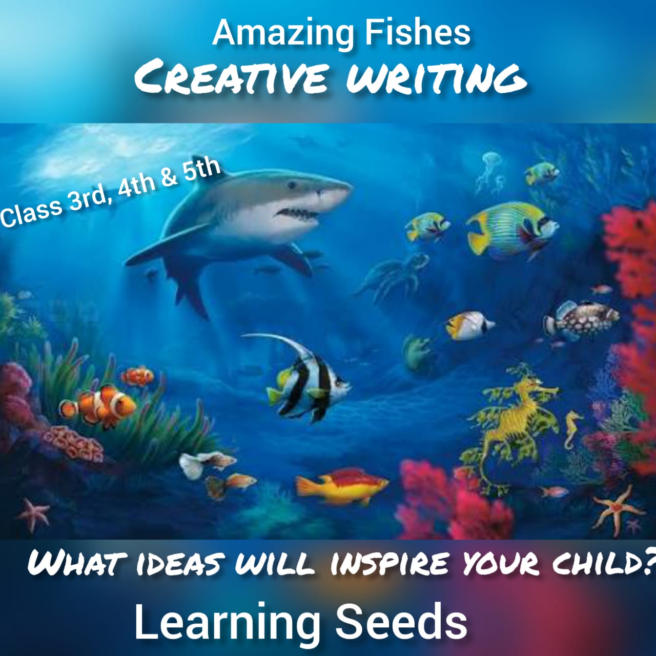 grade-4-learning-seeds