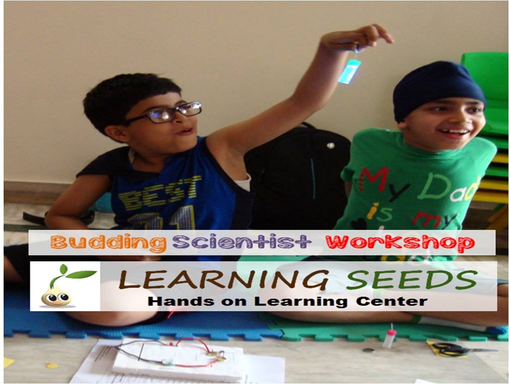 10 Little Scientist Fun Workshops (3-8 year old’s) - Learning Seeds